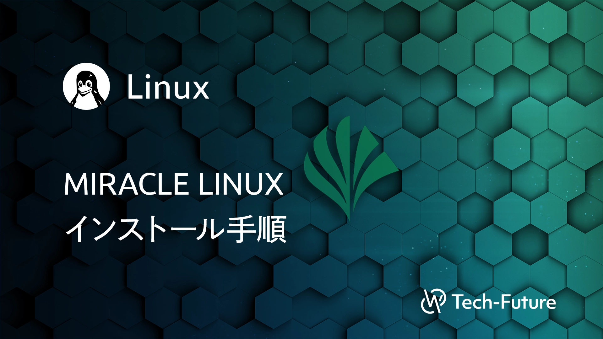 【Linux】MIRACLE LINUX をインストールしてみる | willserver for tech-future