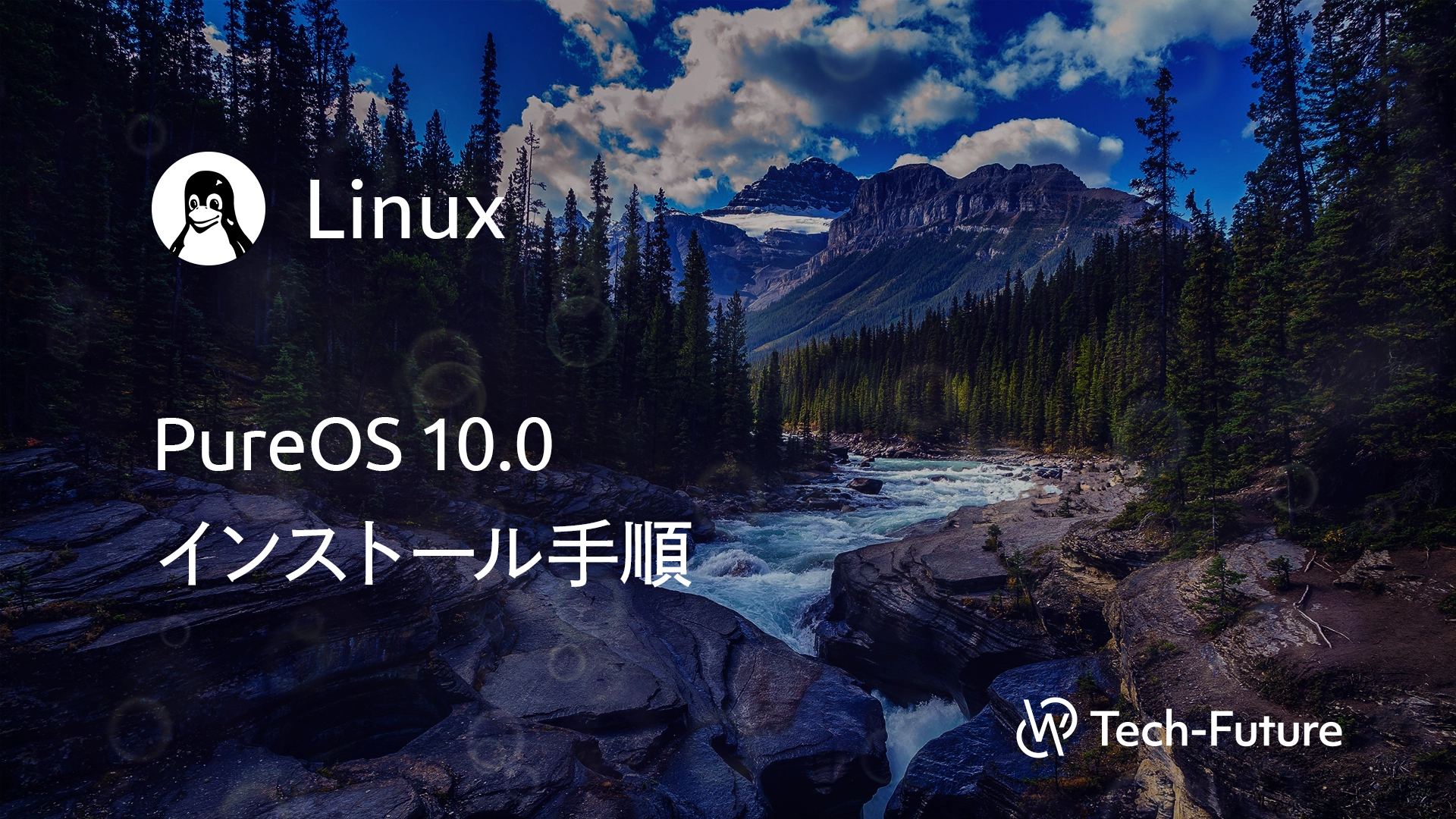 【Linux】PureOS 10.0 インストール手順 | willserver for tech-future