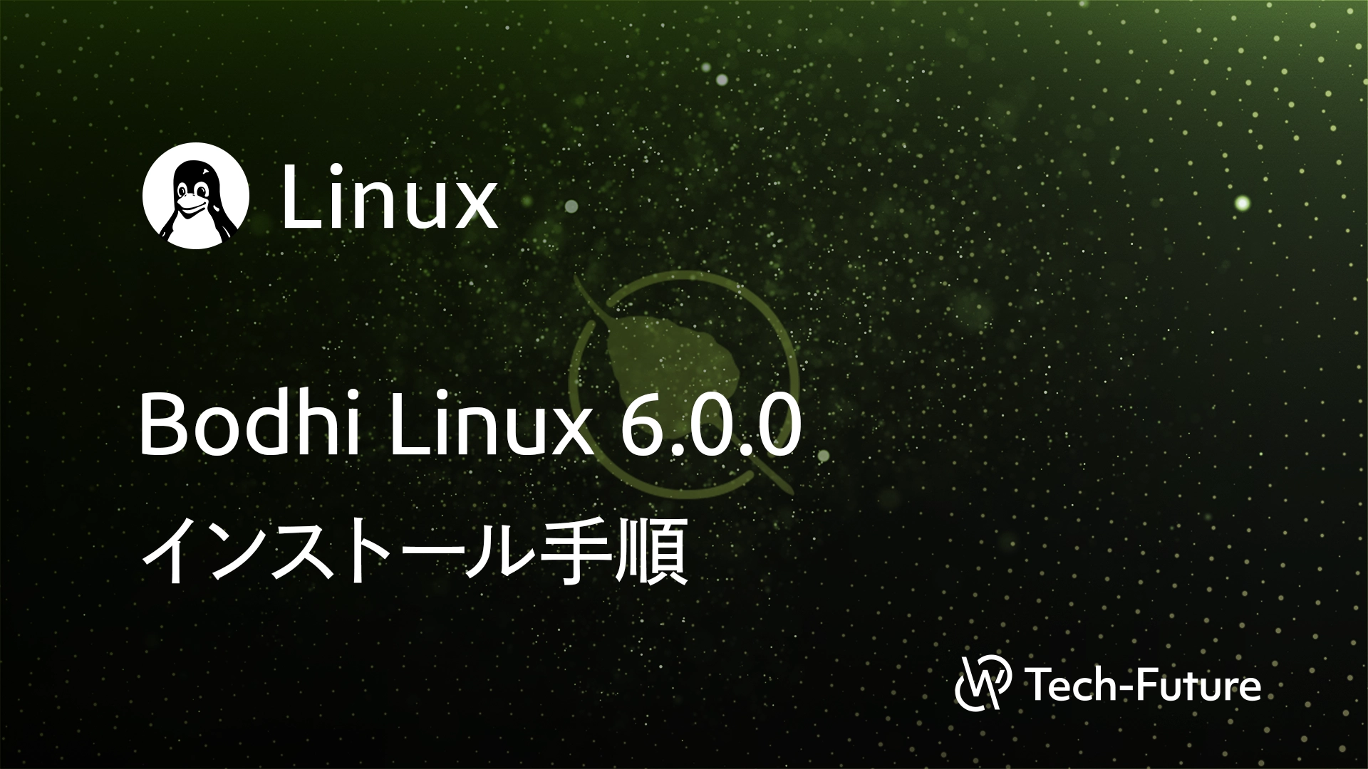 【Linux】Bodhi Linux 6.0.0 インストール手順 | willserver for tech-future